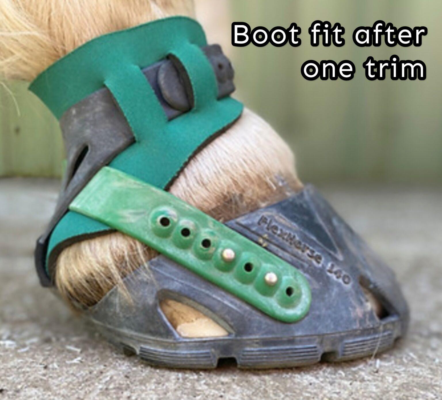 How a trim affects the boot fit - Flex Hoof Boots
