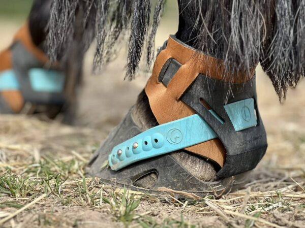 What makes Flex Hoof Boots different? - Flex Hoof Boots
