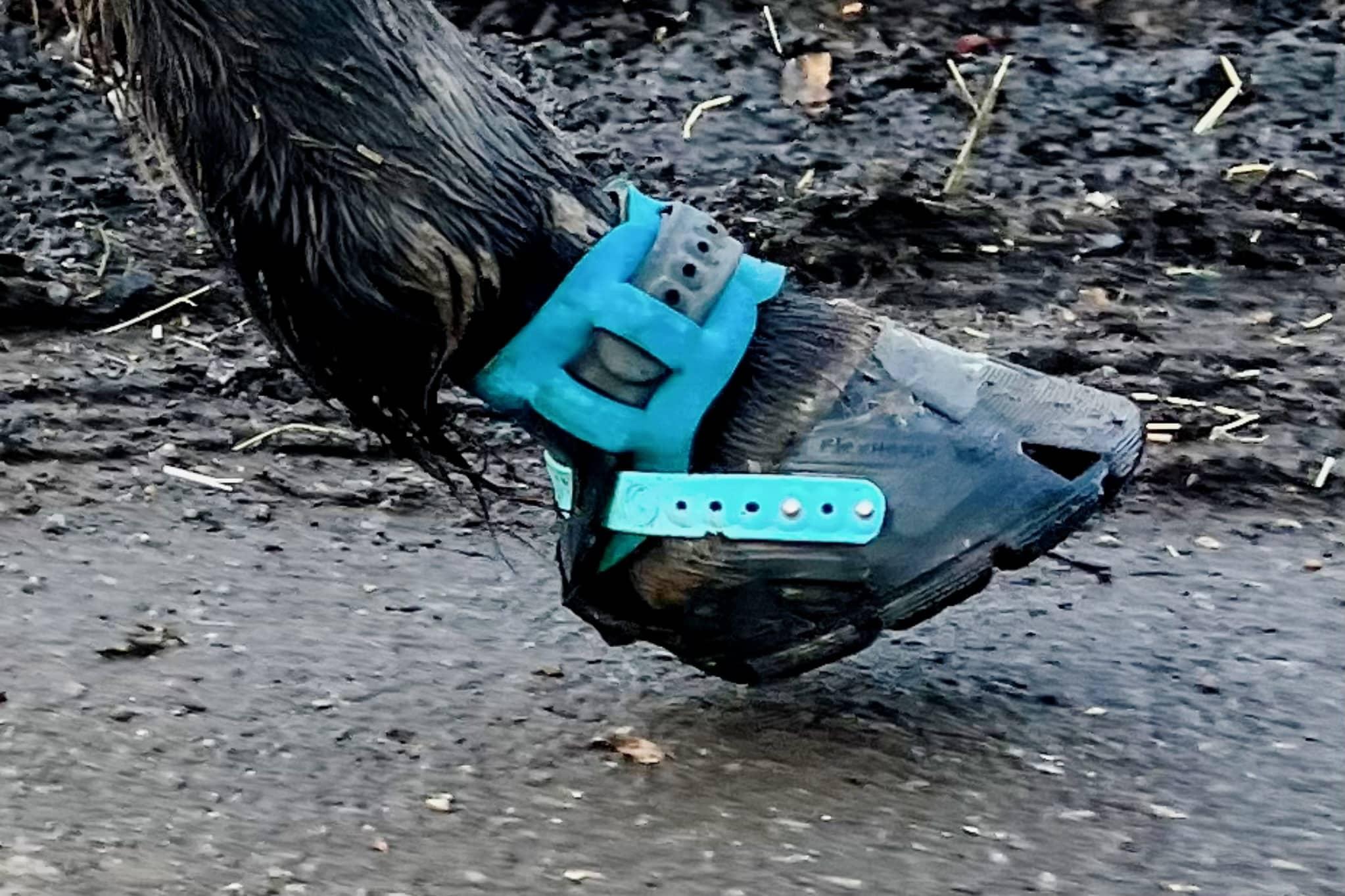 What makes Flex Hoof Boots different? - Flex Hoof Boots