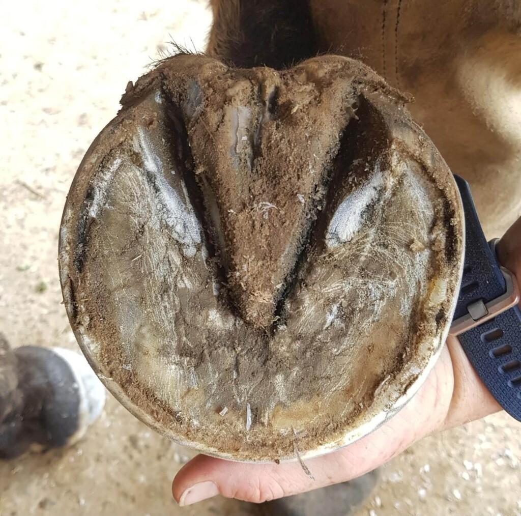 Understanding Underrun Heels: What They Are and What to Do About Them ...