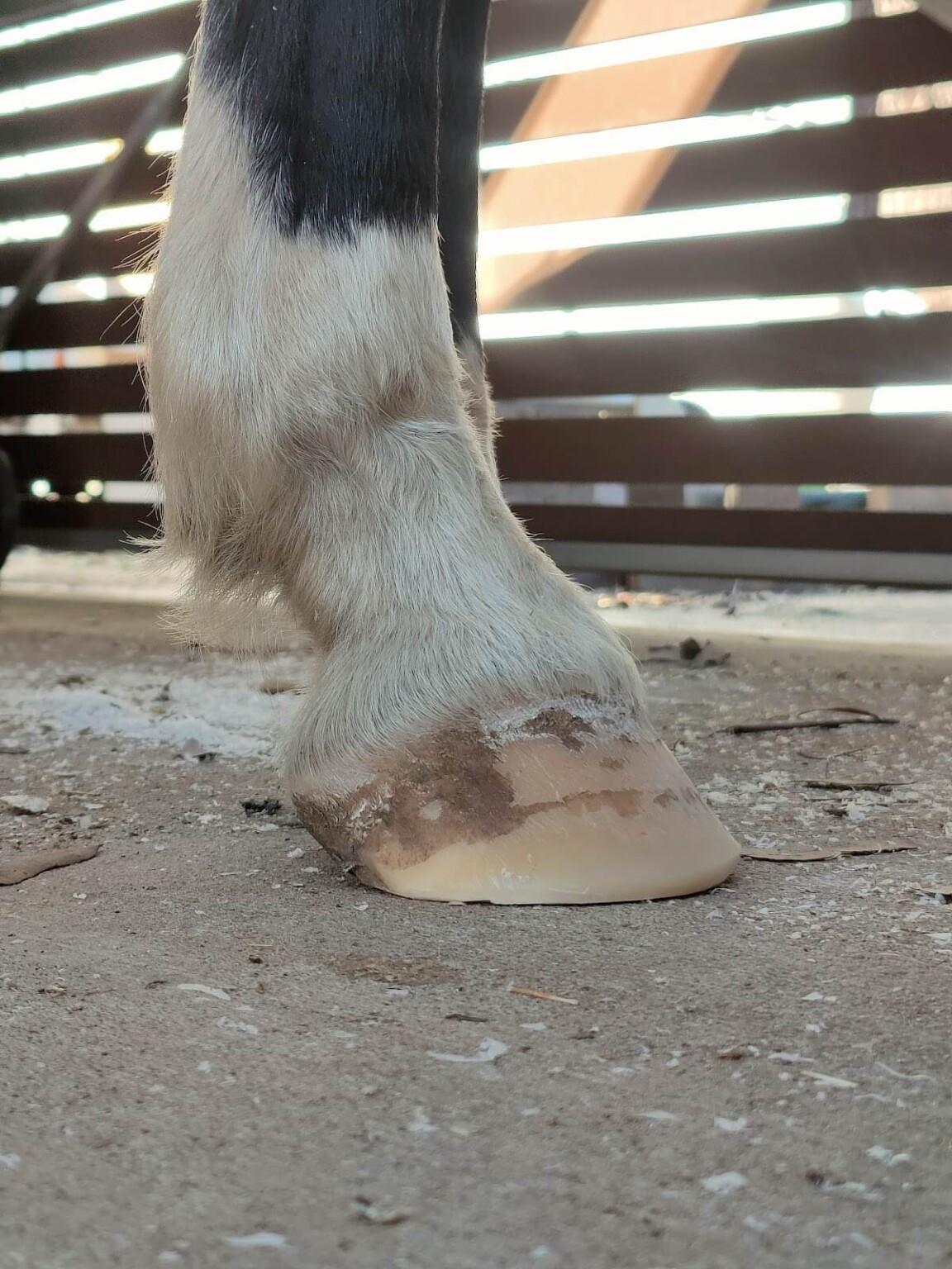 Understanding Underrun Heels: What They Are and What to Do About Them ...